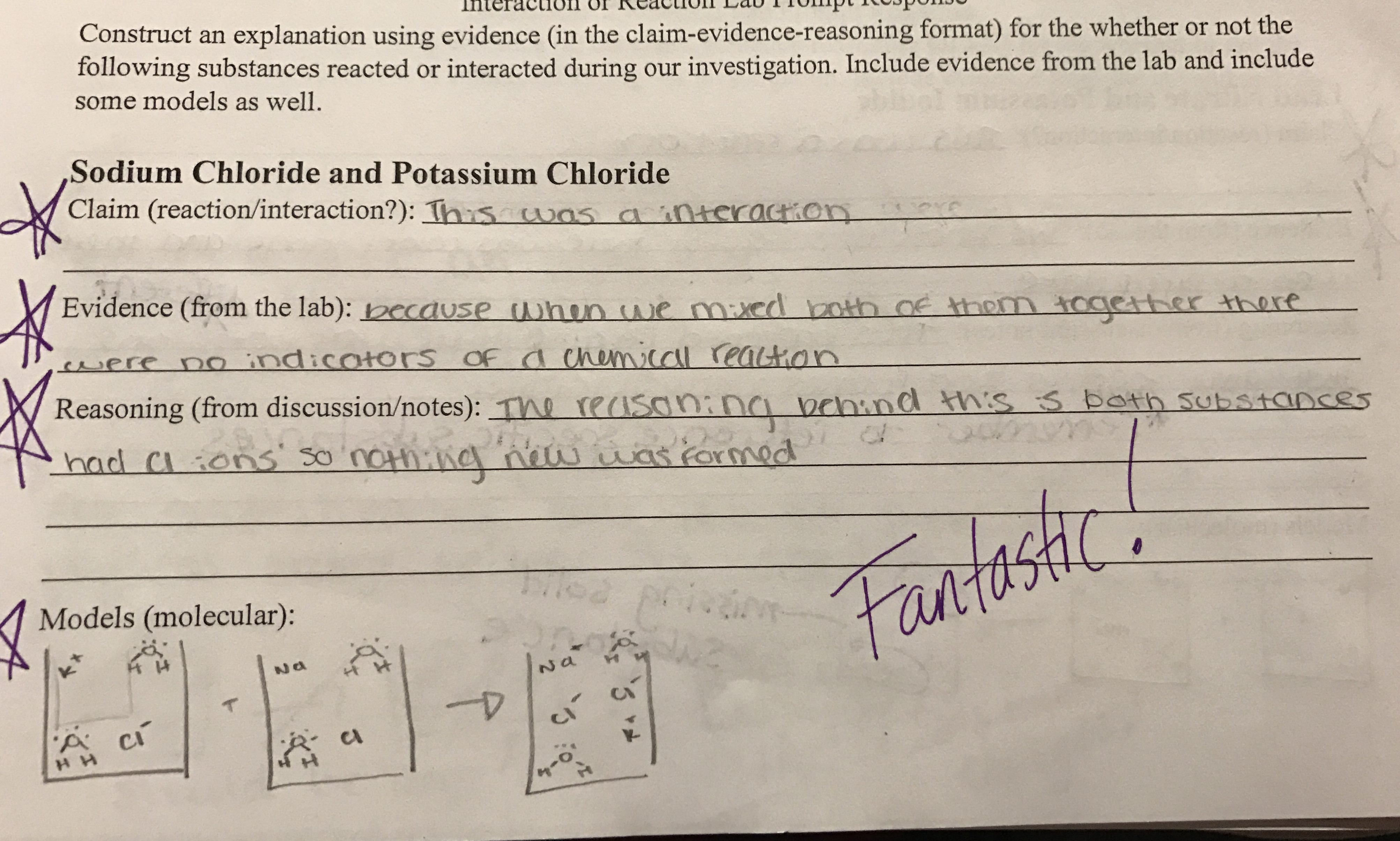 Constructing Explanations in Science – Teaching Elements